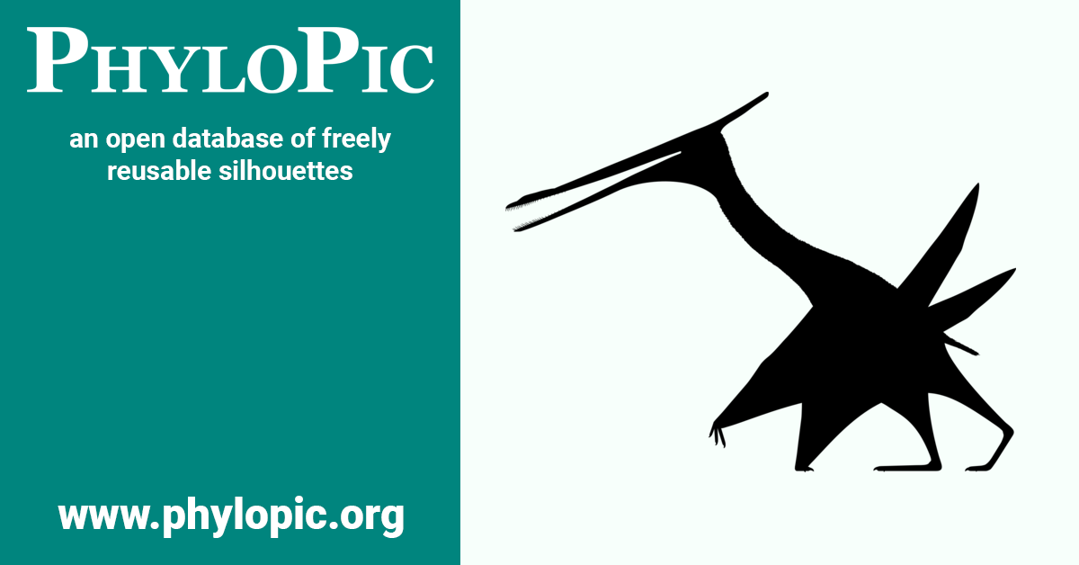 Moganopterus zhuiana by Cy Marchant (CC BY 4.0) - PhyloPic