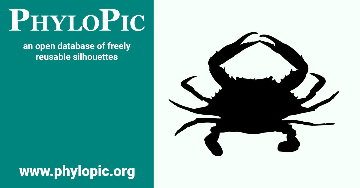 Callinectes Sapidus Cc0 1 0 Phylopic