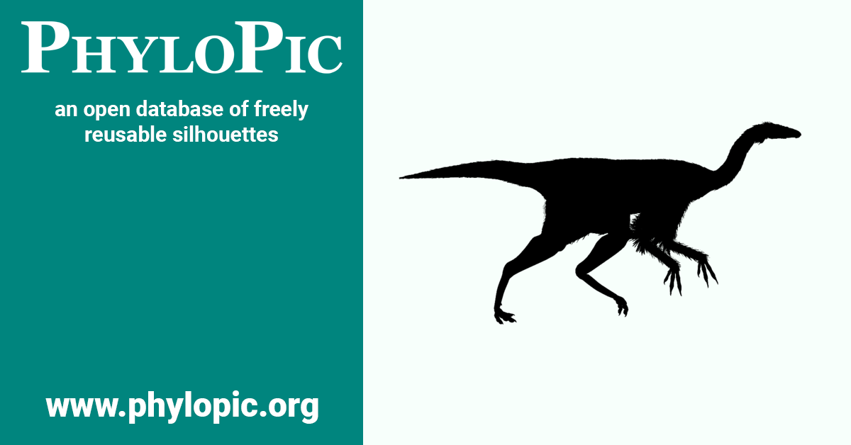 Struthiomimus altus by Craig Dylke (CC0 1.0) - PhyloPic