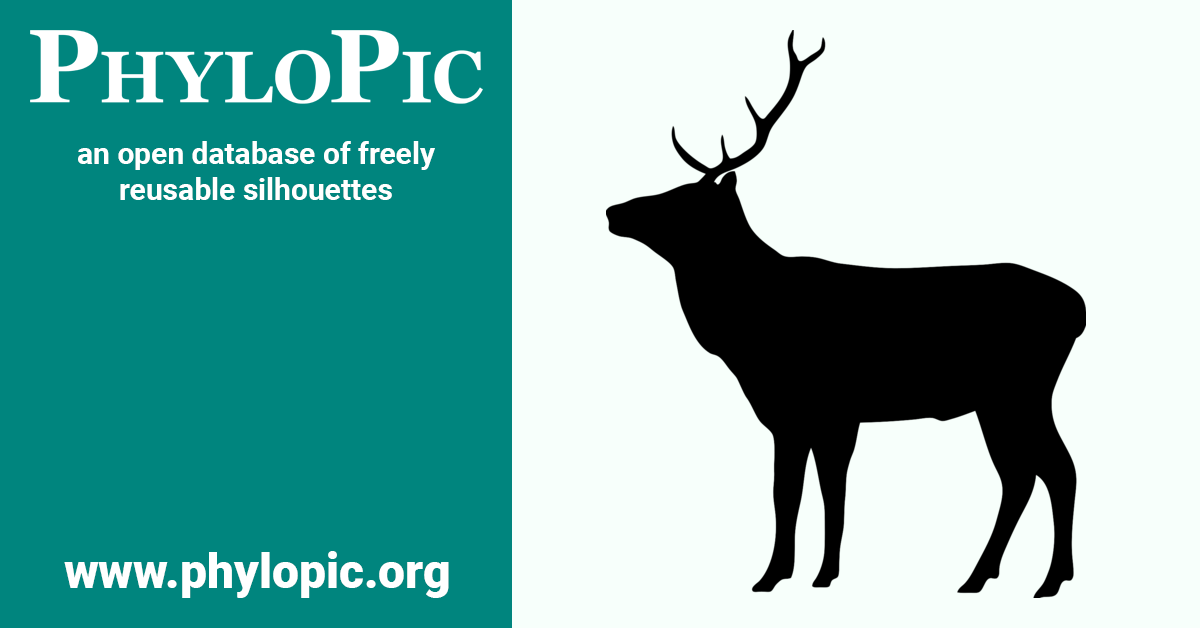 Cervus - PhyloPic
