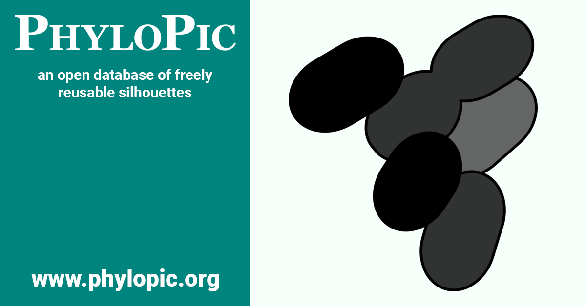 Sphingobacteriaceae - PhyloPic