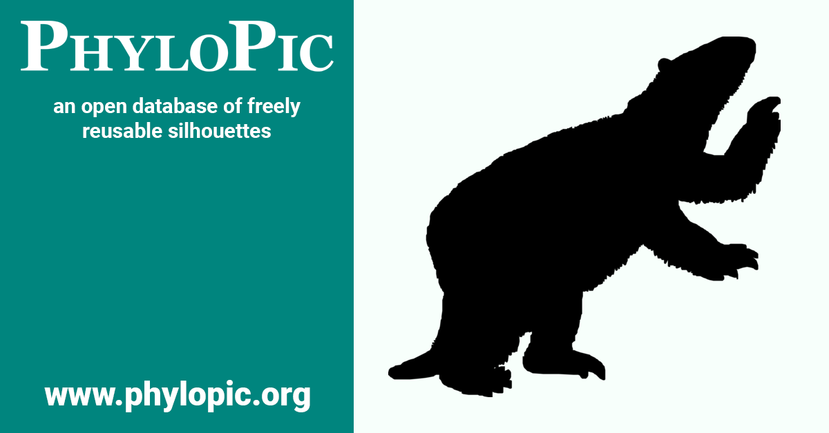 Mylodon darwini by Zimices (CC BY-NC 3.0) - PhyloPic