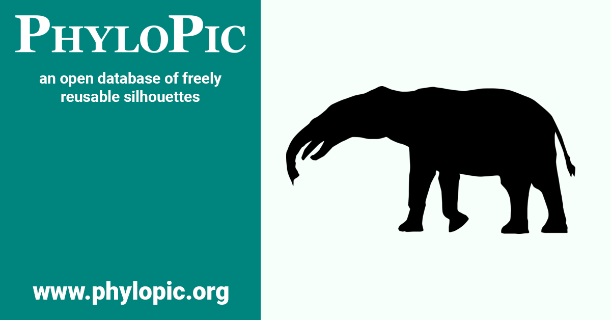 Megabelodon by Egidio Viola (CC BY 4.0) - PhyloPic