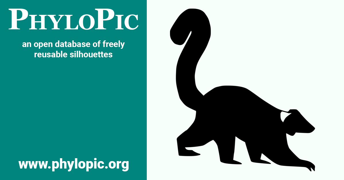 Varecia rubra by Edwin Price (CC BY 4.0) - PhyloPic