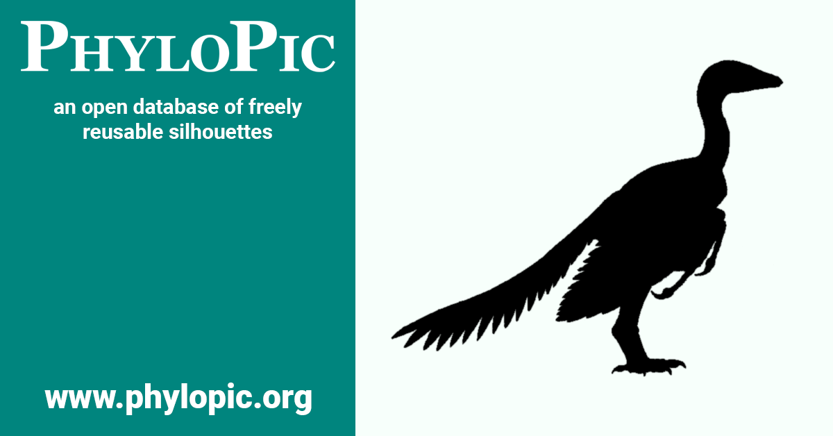 Archaeopteryx lithographica by Dann Pigdon (CC0 1.0) - PhyloPic