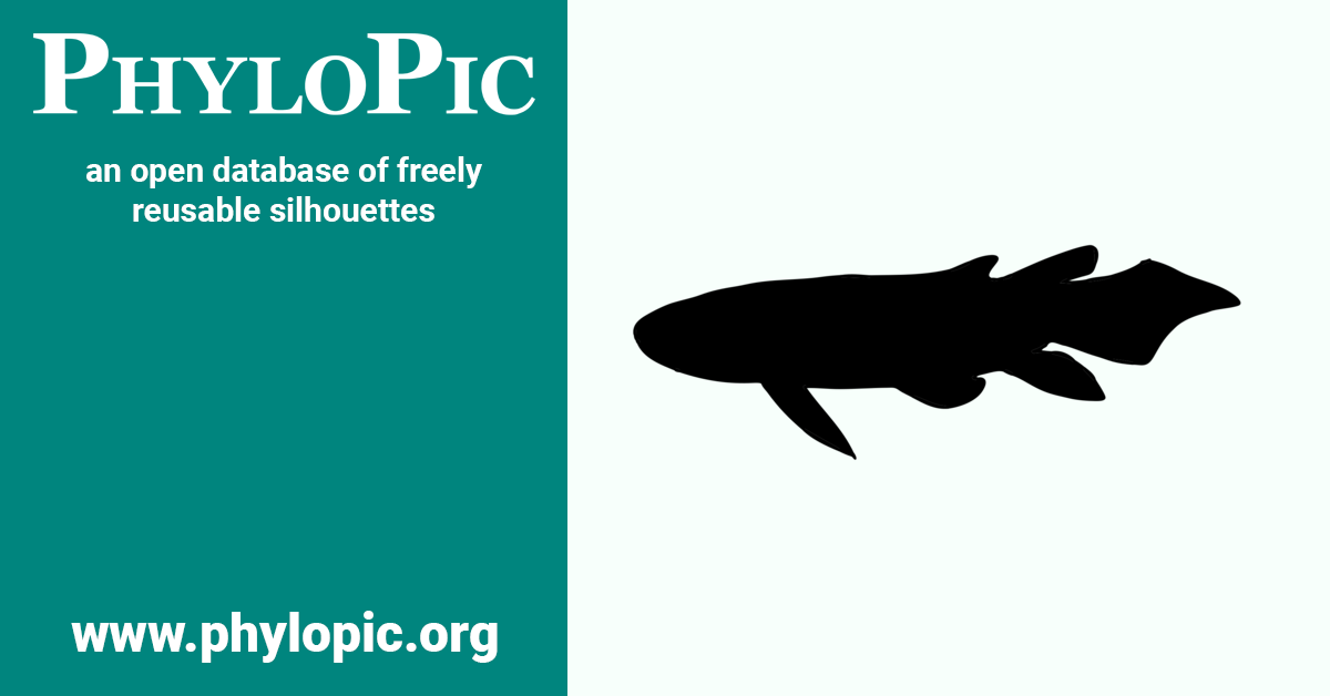 Rhipidistia - PhyloPic