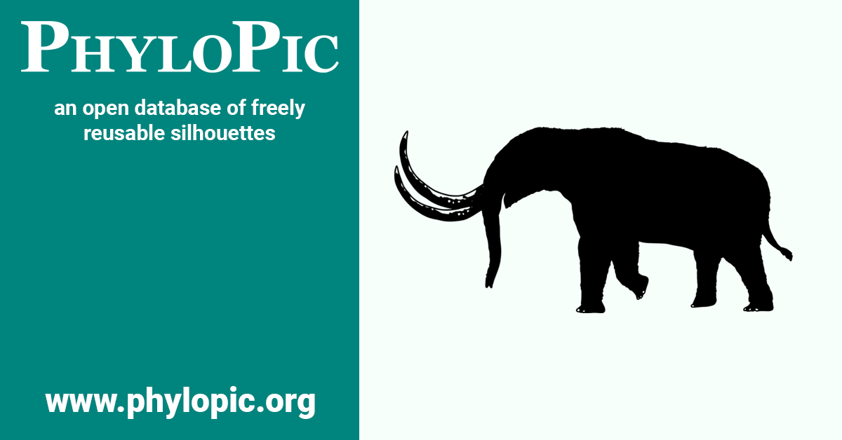 Mammut americanum by artrociraptor (CC0 1.0) - PhyloPic