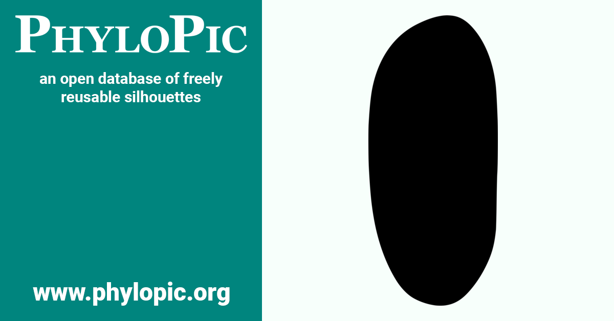 Methanothermobacter thermautotrophicus (CC0 1.0) - PhyloPic