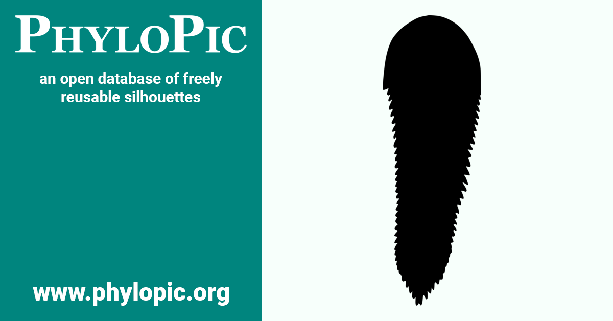 Spriggina floundersi by Will Toosey (CC BY 4.0) - PhyloPic