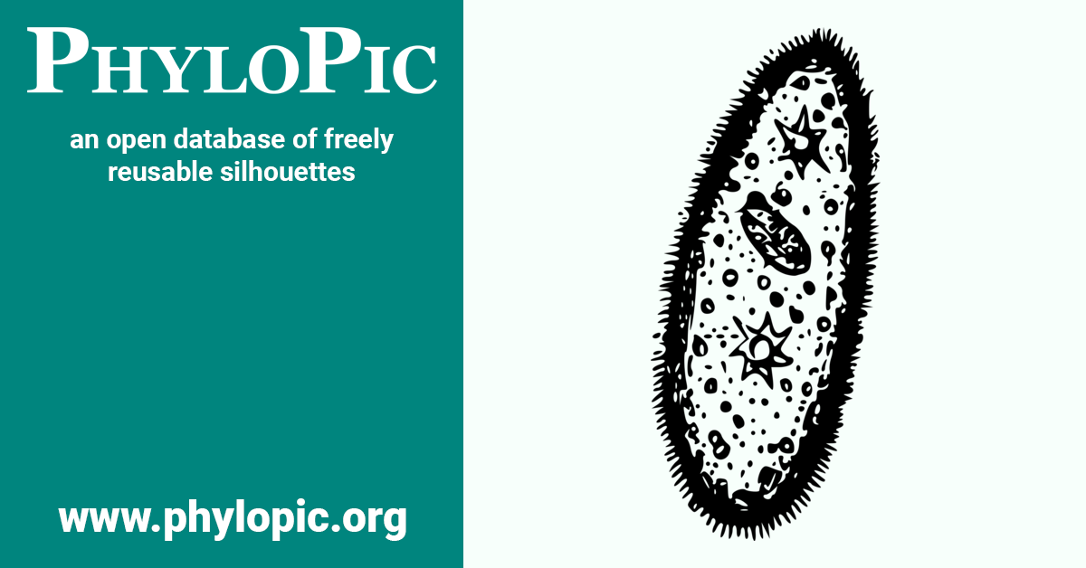 Ciliophora - PhyloPic