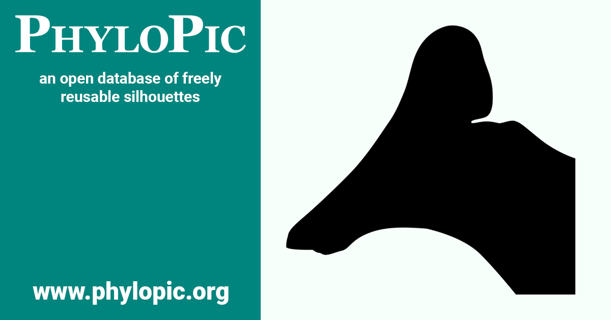 Amurosaurus riabinini by Olof Moleman (CC0 1.0) - PhyloPic