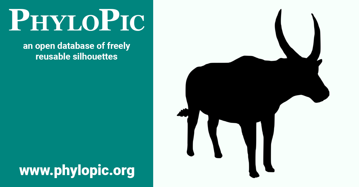 Bos etruscus by Zimices (CC BY 3.0) - PhyloPic