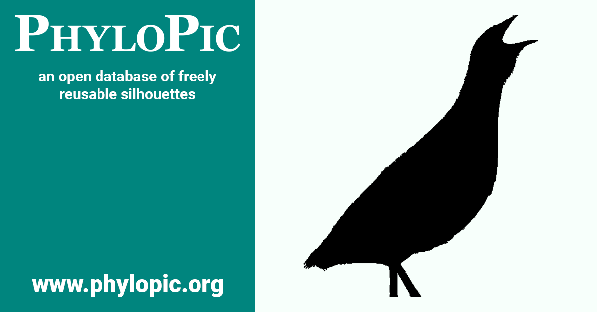 Crex crex by Michael Day (CC0 1.0) - PhyloPic