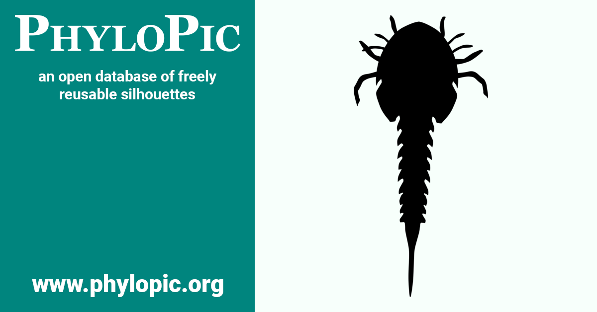 Chelicerata - PhyloPic