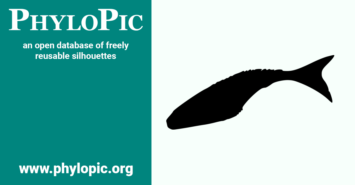 Lasanius problematicus by Nobu Tamura (CC BY 4.0) - PhyloPic