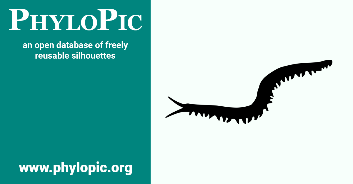 Onychophora by Yan Wong (CC0 1.0) - PhyloPic