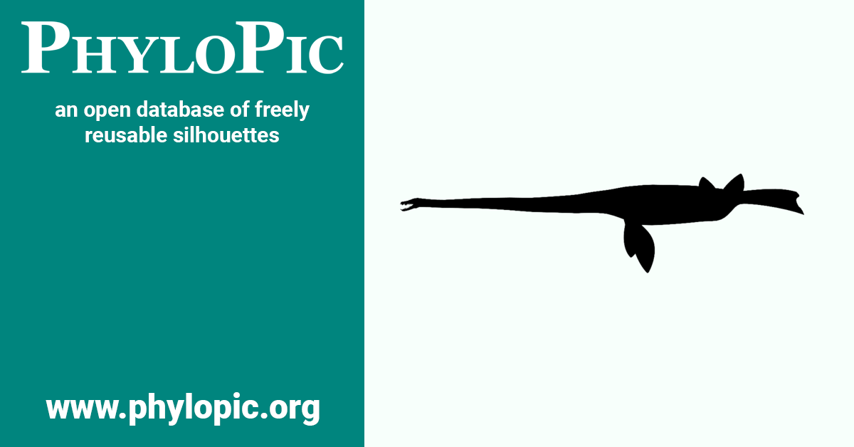 Mauisaurus haasti by Craig Dylke (CC0 1.0) - PhyloPic