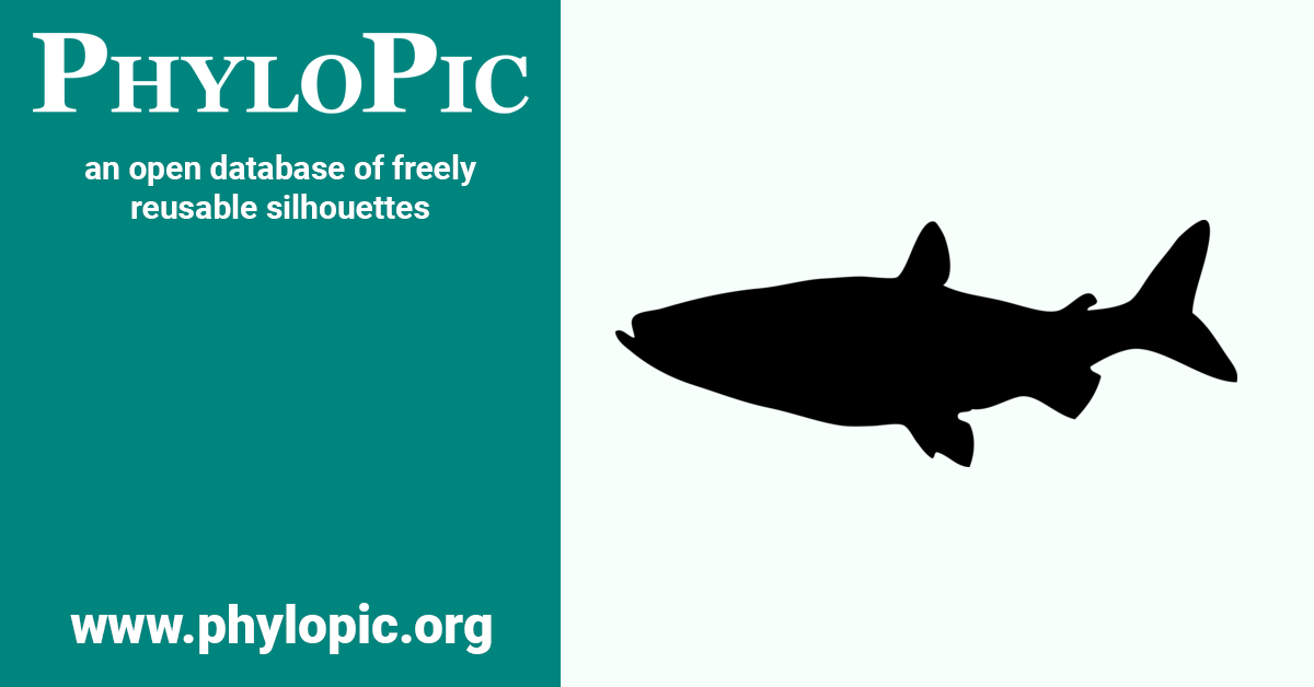 Coregonus hoyi by Servien (vectorized by T. Michael Keesey) (CC BY-SA 3 ...