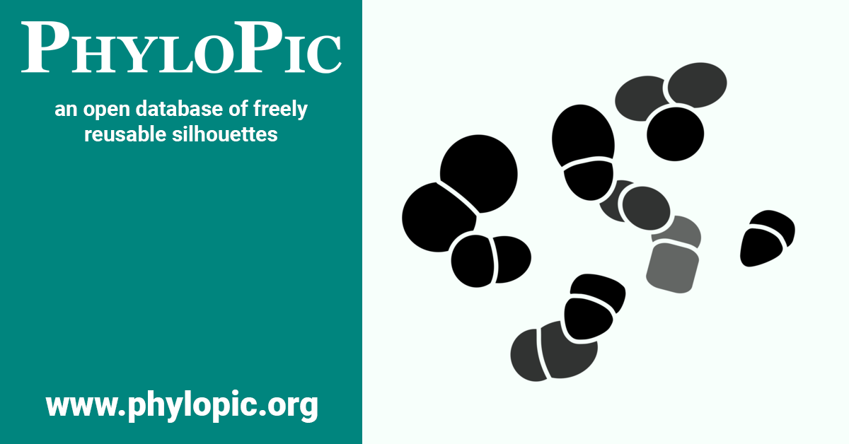 Rubrobacter xylanophilus by Matt Crook (CC BY-SA 3.0) - PhyloPic