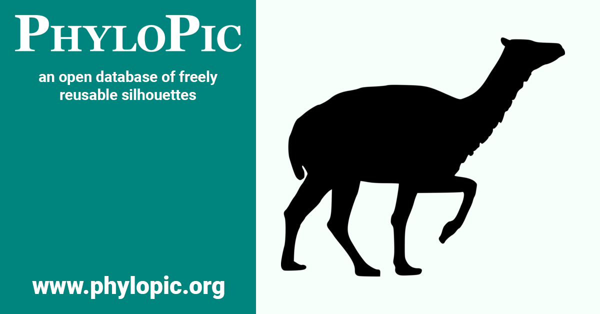 Camelops hesternus by Zimices (CC BY-NC 3.0) - PhyloPic