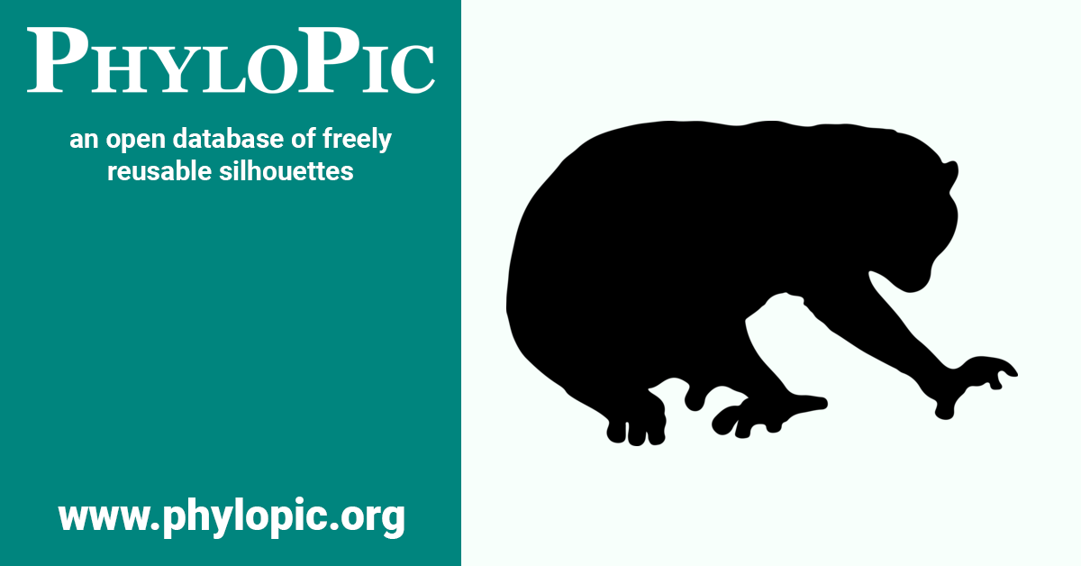 Nycticebus - PhyloPic