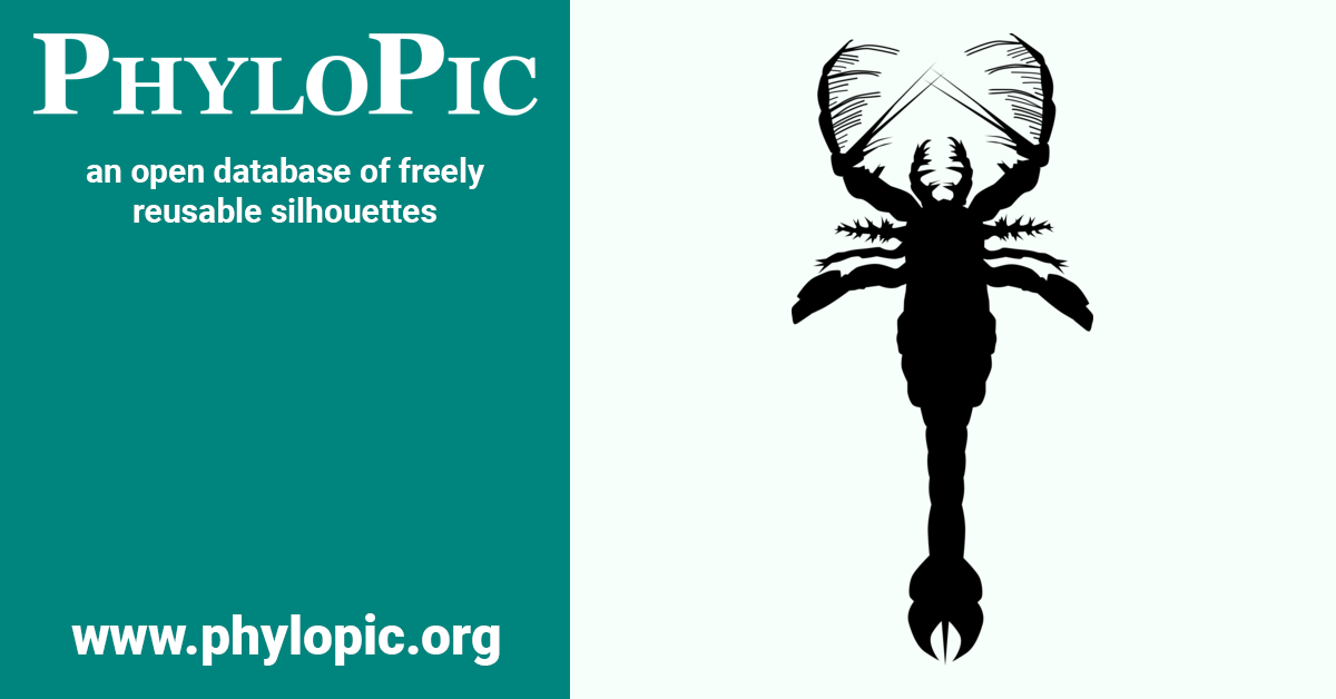 Megalograptus ohioensis by Gareth Monger (CC BY 3.0) - PhyloPic