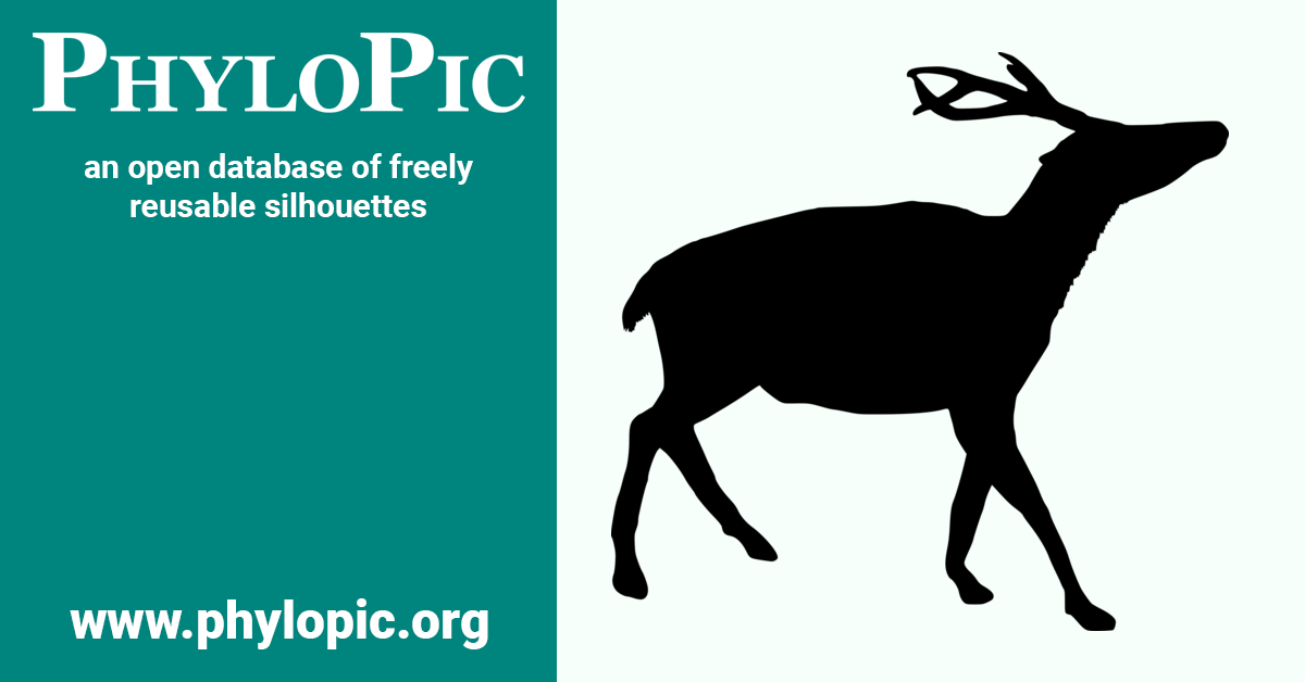 Cervavitus novorossiae by Zimices (CC BY 3.0) - PhyloPic