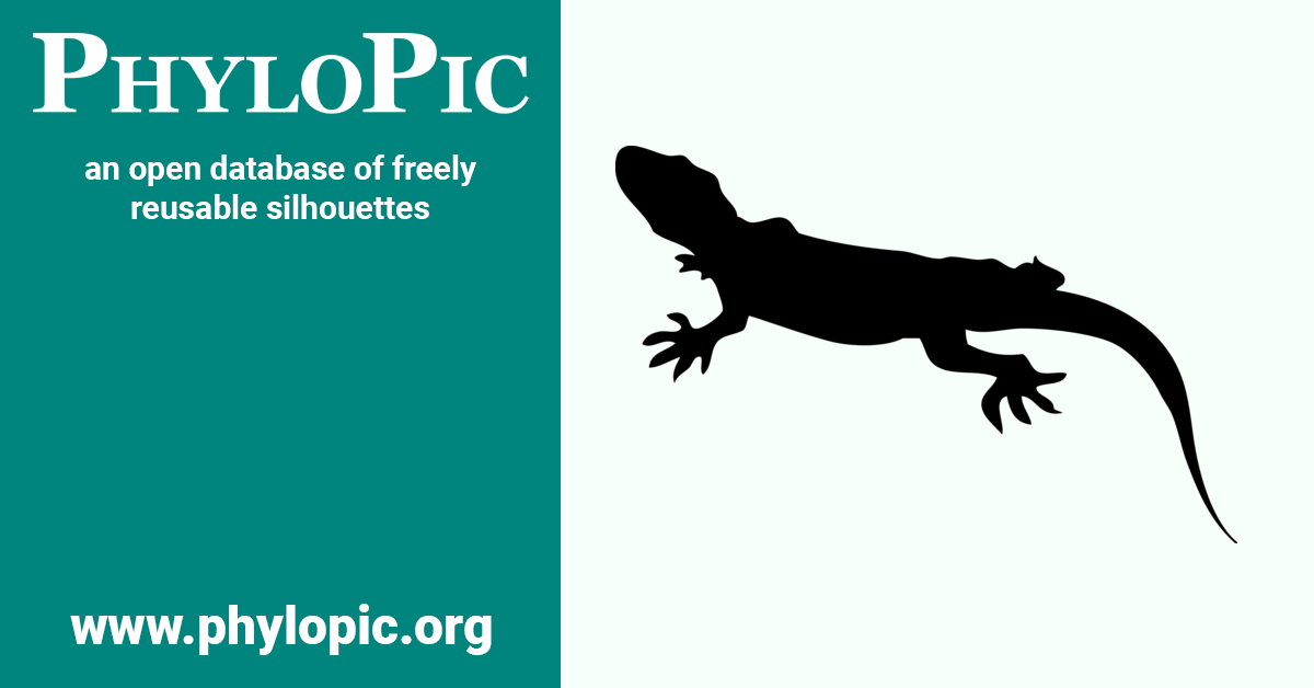 Ardeosaurus brevipes by Ghedo and T. Michael Keesey (CC BY-SA 3.0 ...