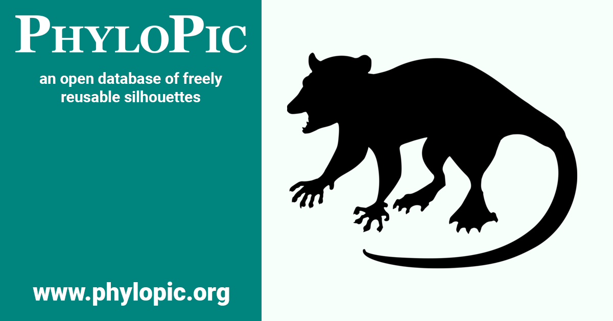 Chironectes minimus by Milena Cavalcanti, Patricia Pilatti & Diego ...