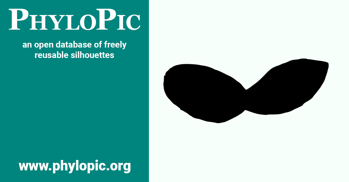 Pomatrum ventralis by Apokryltaros (CC BY-SA 3.0) - PhyloPic