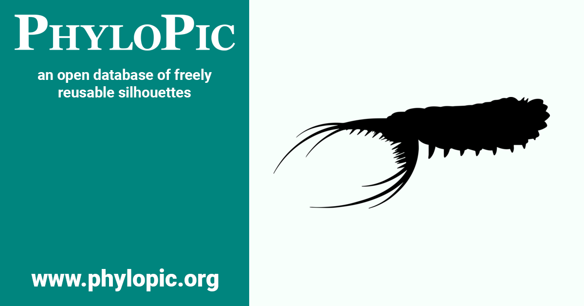 Pambdelurion whittingtoni by Junnn11 (modified by T. Michael Keesey ...