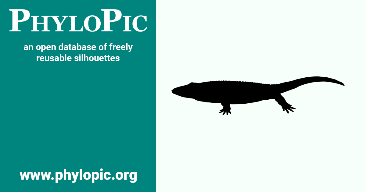 Jarilinus mirabilis by Dmitry Bogdanov (CC BY 4.0) - PhyloPic