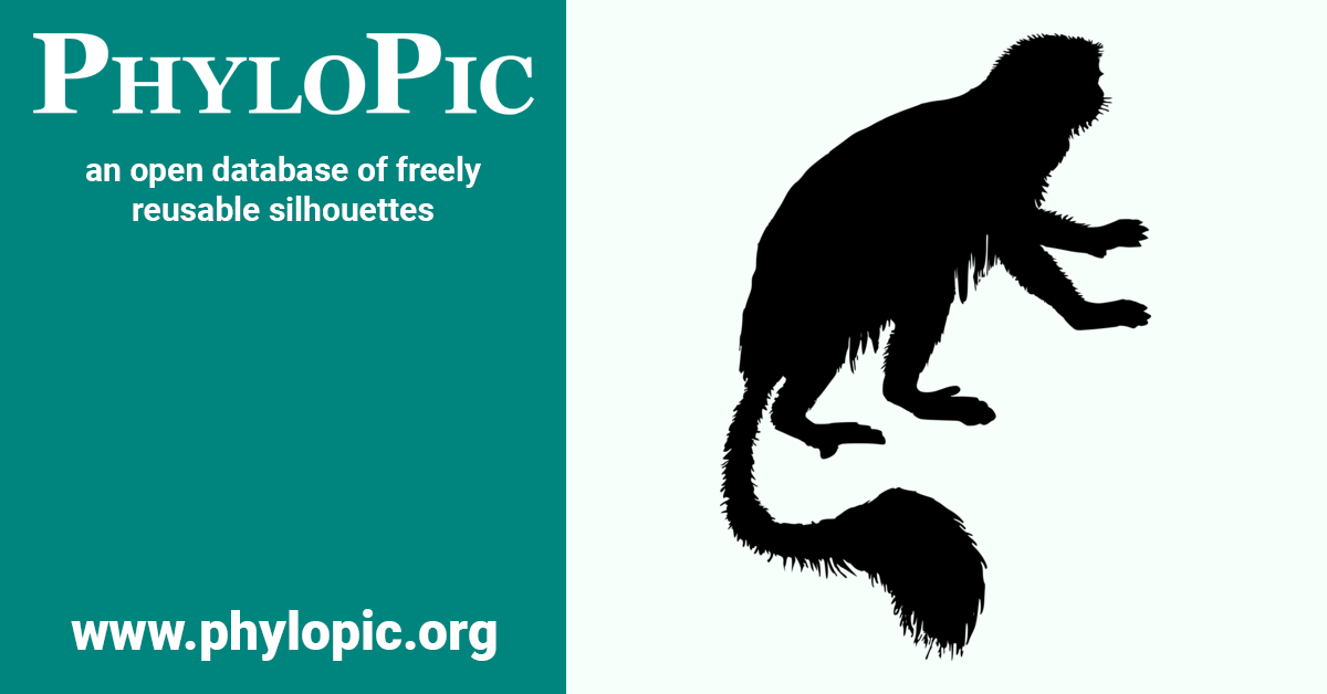 Colobus guereza by Yan Wong from drawing in The Century Dictionary ...