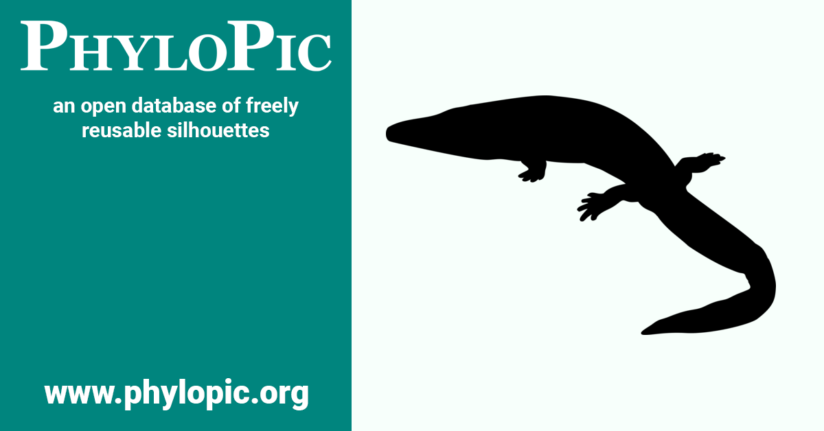 Chenoprosopus milleri by Dmitry Bogdanov (CC BY-SA 3.0) - PhyloPic