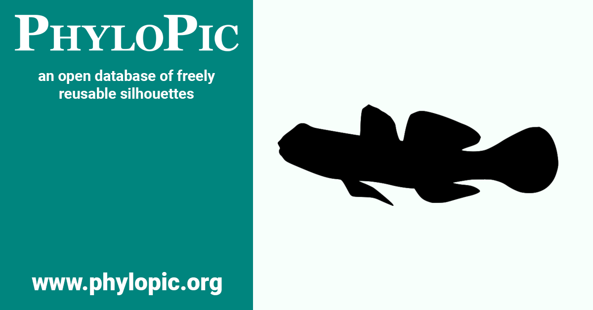 Bathygobius fuscus (CC0 1.0) - PhyloPic