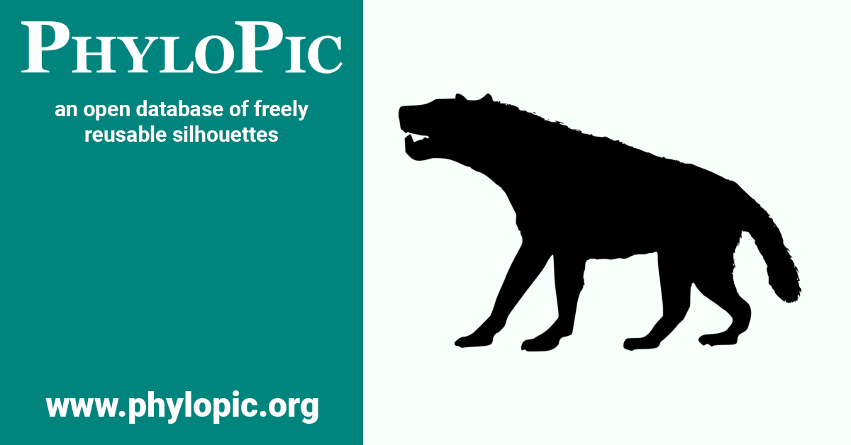 Pachycrocuta brevirostris by Zimices (CC BY-SA 3.0) - PhyloPic