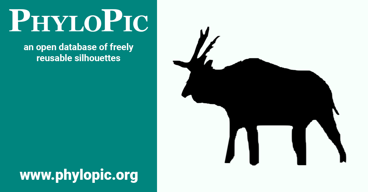 Cervalces scotti by Chase Brownstein (CC BY 3.0) - PhyloPic