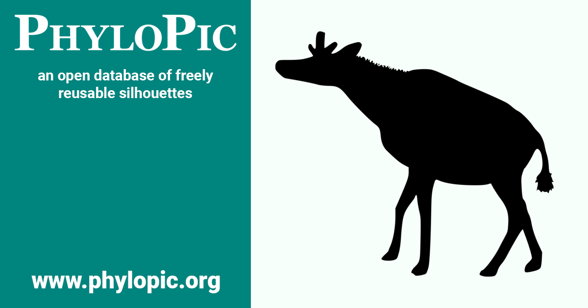 Samotherium tafeli by Zimices (CC BY-SA 3.0) - PhyloPic