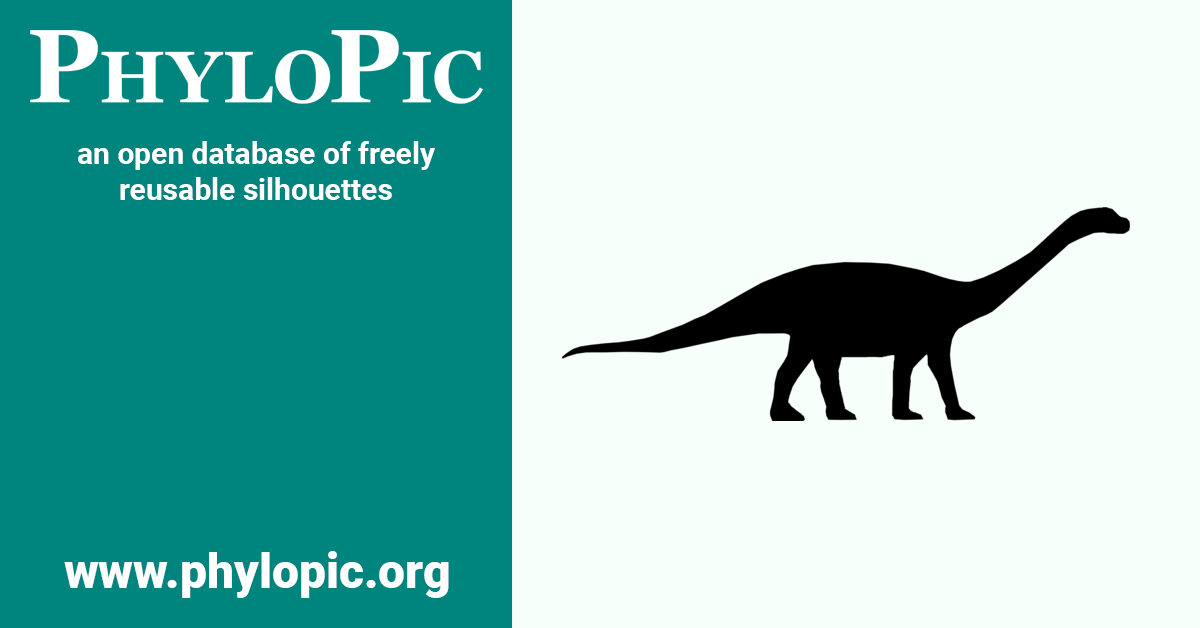 Sauropoda - PhyloPic