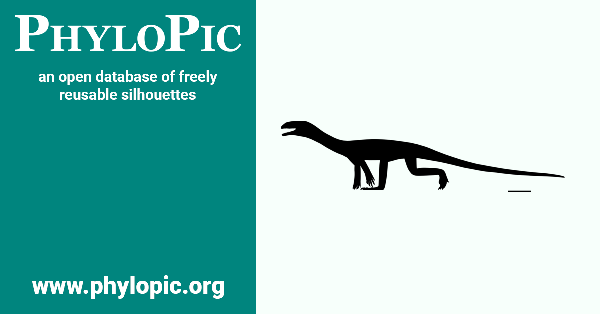 Malerisaurus robinsonae by LiterallyMiguel (CC BY 4.0) - PhyloPic