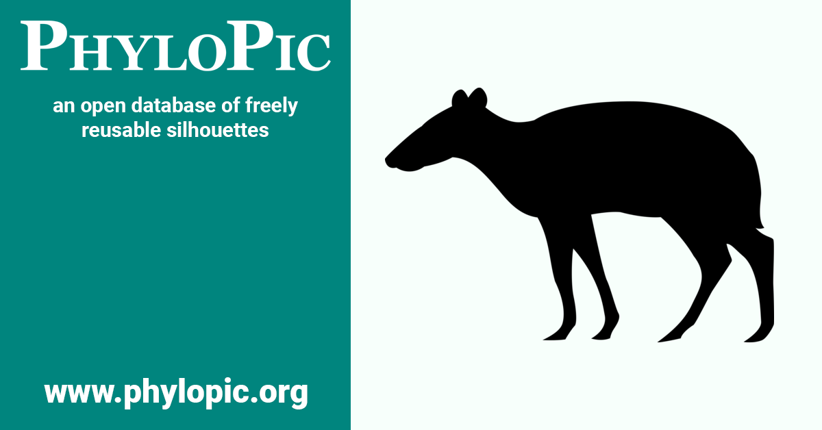 Bachitherium insigne by Michael Tripoli (CC BY 4.0) - PhyloPic