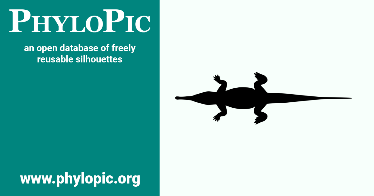 Hanyusuchus sinensis by Iijima Masaya, Qiao Yu, Lin Wenbin, Peng Youjie ...