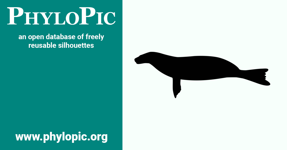 Hadrokirus martini by Michael Tripoli (CC BY 4.0) - PhyloPic