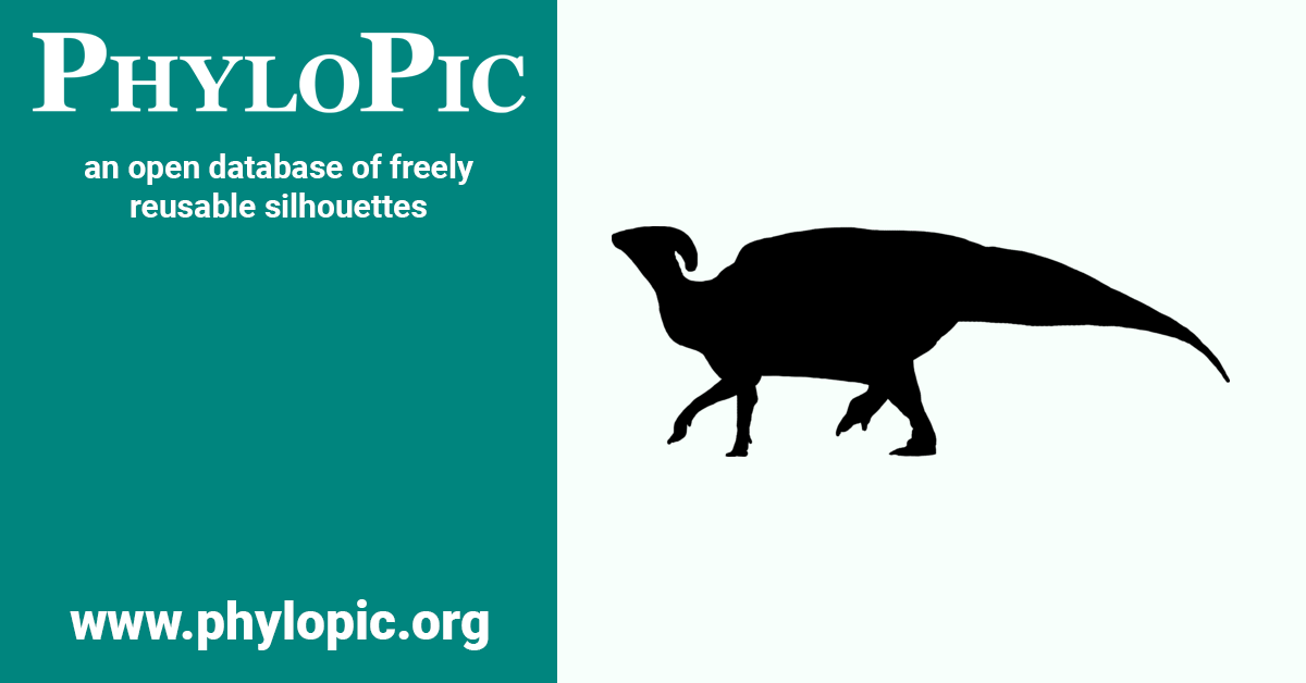 Parasaurolophus cyrtocristatus by Matt Martyniuk (CC BY-NC-SA 3.0 ...