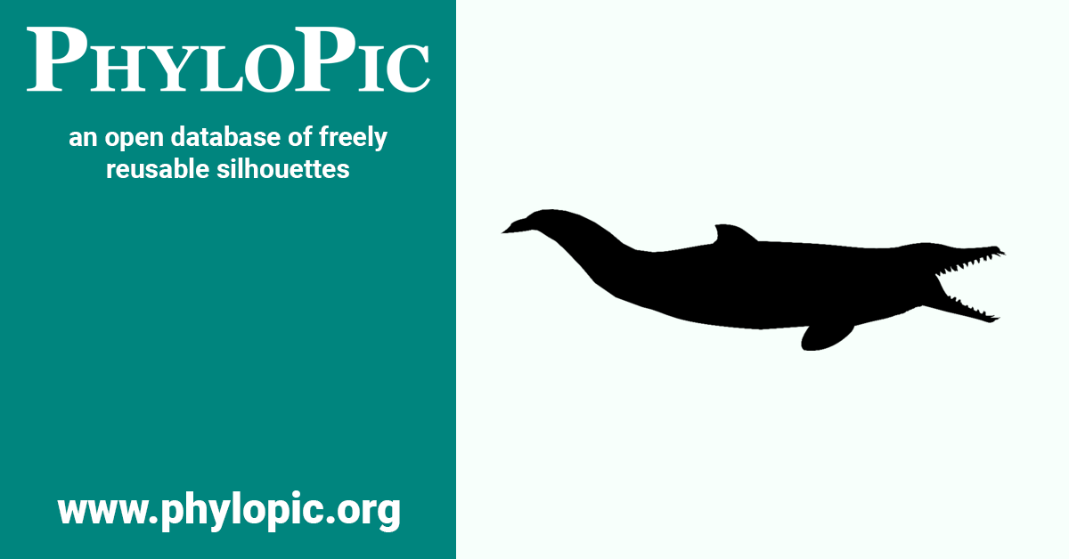 Squalodon by Craig Dylke (CC0 1.0) - PhyloPic