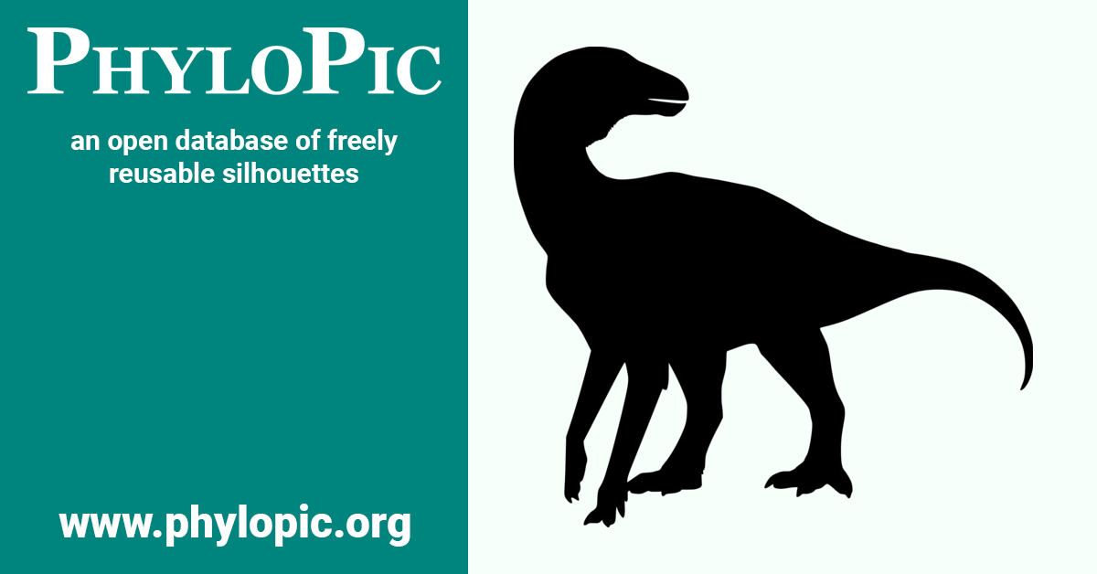Silesaurus opolensis by Nix Illustration (modified by Zak Lewis) (CC BY ...