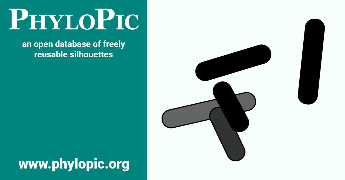 Holophaga foetida by Matt Crook (CC BY-SA 3.0) - PhyloPic