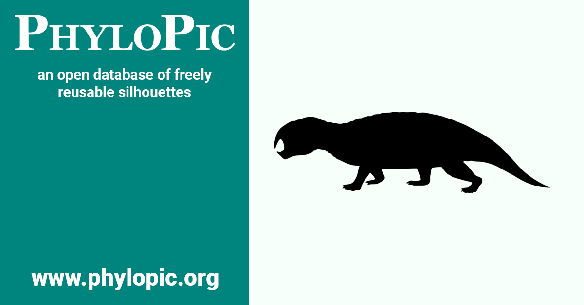 Rhynchosauria - PhyloPic