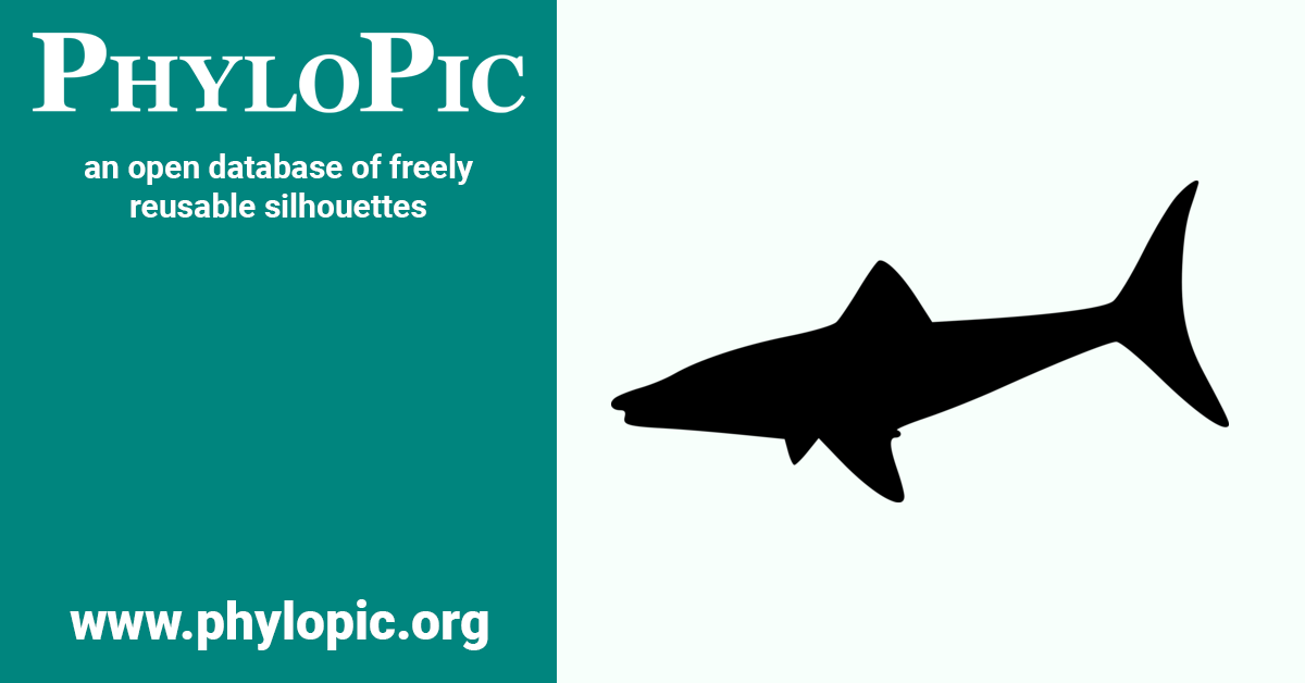 Caseodus by Dmitry Bogdanov (CC BY 4.0) - PhyloPic