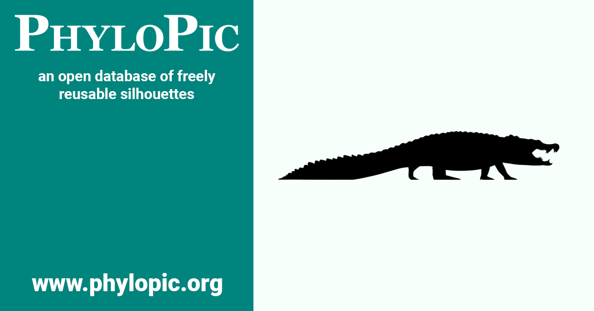 Baru darrowi by Armin Reindl (CC BY 4.0) - PhyloPic